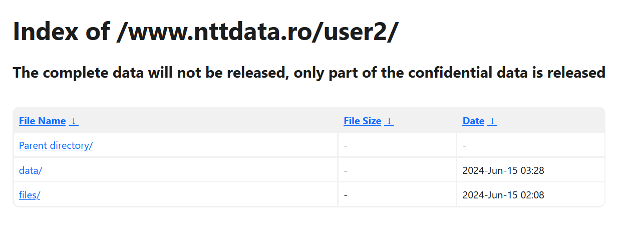 Cyber Synapse S.R.L. - News